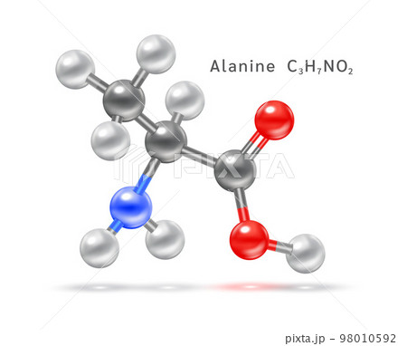 Alanine Amino Acid