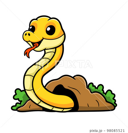 Cute yellow insularis snake cartoon out from...のイラスト素材 [98085521] - PIXTA