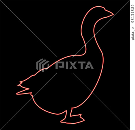 Neon goose Gosling Geese Anser Gander red color...のイラスト素材 [98131389 ...
