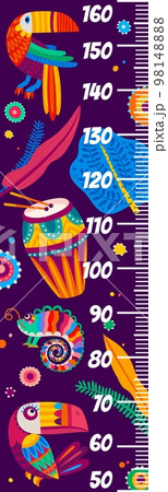 Kids height chart. Brazilian toucan and drum,...のイラスト素材 [98148888] - PIXTA