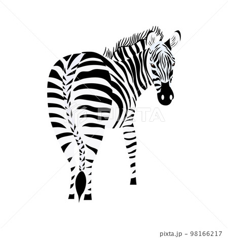 Cute Zebra Outline
