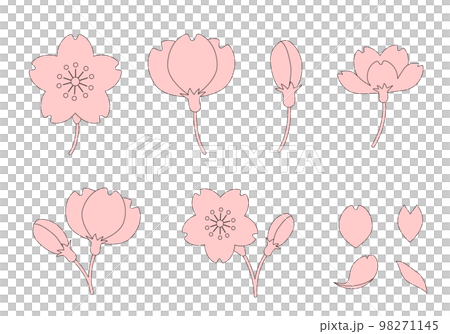Single color cherry blossom illustration set - Stock Illustration ...
