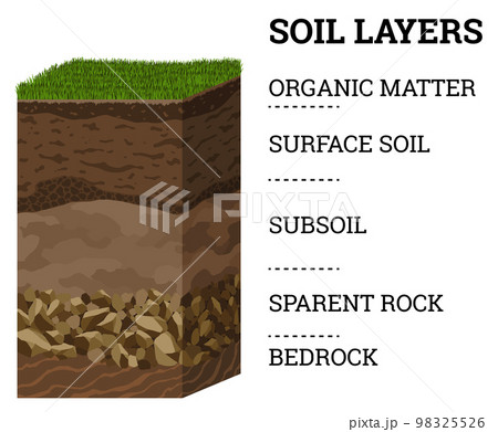 Soil layers. Surface horizons upper layer of...のイラスト素材 [98325526] - PIXTA
