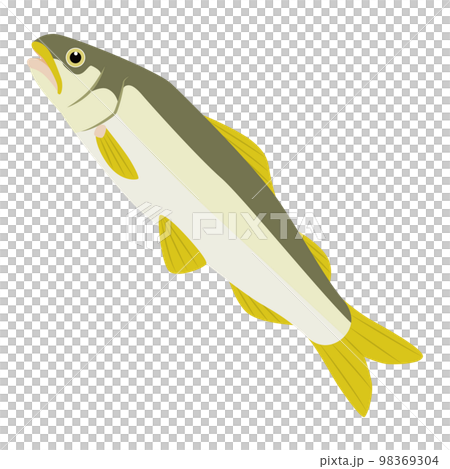 Ayu Illustration - Stock Illustration [98369304] - PIXTA