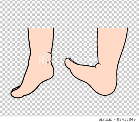 Enucleus / heel foot - Stock Illustration [98413849] - PIXTA