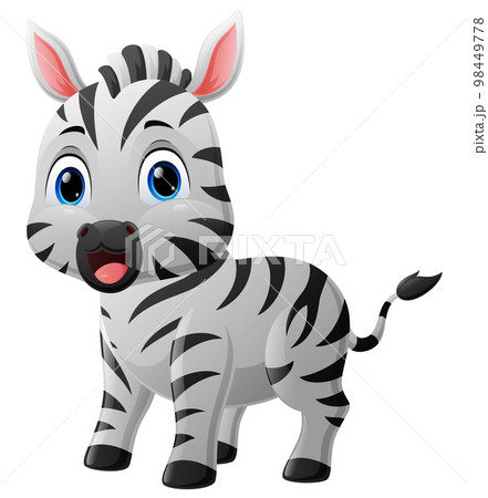 Cute baby zebra cartoon posingのイラスト素材 [98449778] - PIXTA