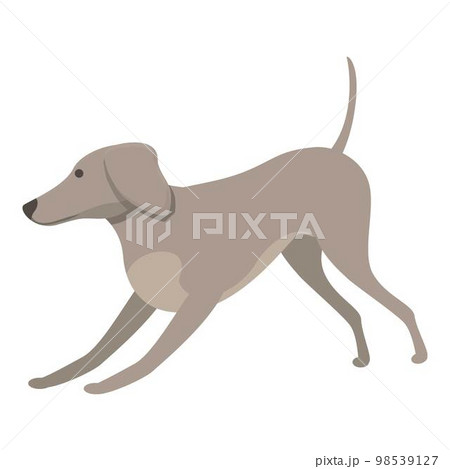 Greyhound play icon cartoon vector. Animal run....のイラスト素材 [98539127 ...