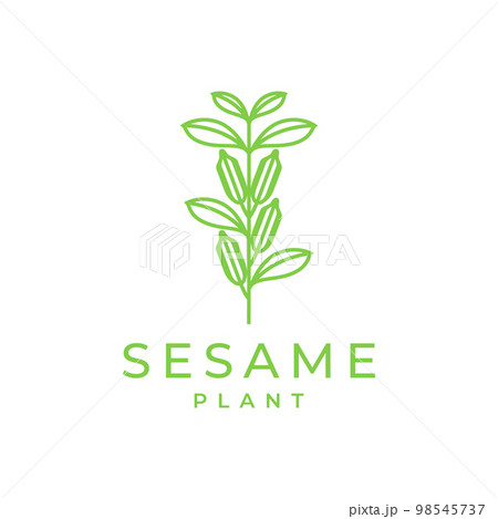 sesame plant leaves seeds food and health care...のイラスト素材 [98545737] - PIXTA