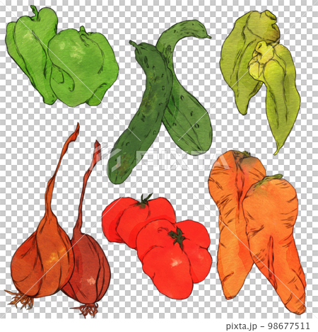 Irregular vegetables Illustration material - Stock Illustration ...