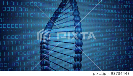 Image of dna rotating over binary code on blue...のイラスト素材 [98784443] - PIXTA