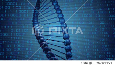 Image of dna rotating over binary code on blue...のイラスト素材 [98784454] - PIXTA