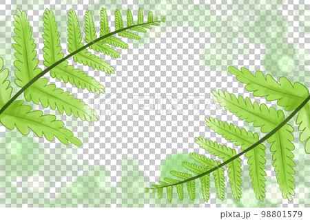 Back lining - Stock Illustration [98801579] - PIXTA