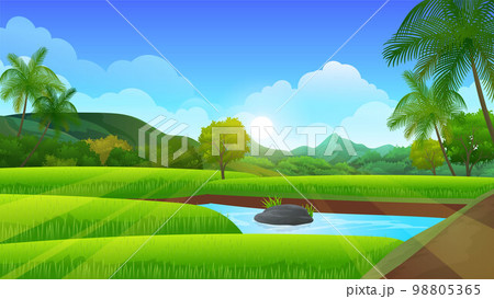 Rice field Terraces with fish pond and...のイラスト素材 [98805365] - PIXTA