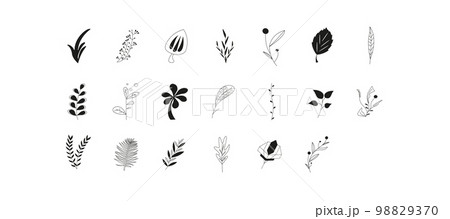 Leaves Doddle Setのイラスト素材 [98829370] - PIXTA