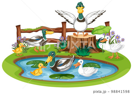 Duck Pond Clipart