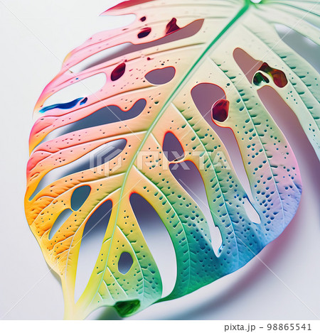 Rainbow Monstera Leaf Texture Exotic Tropical...のイラスト素材 [98865541] - PIXTA