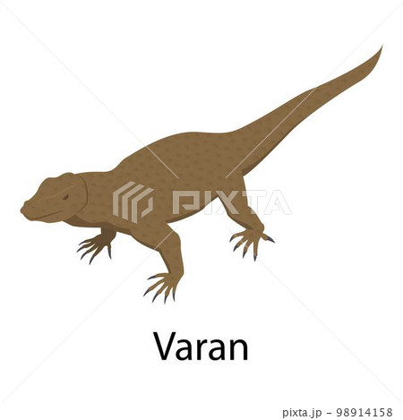 Varan icon. Isometric of varan vector icon for...のイラスト素材 [98914158] - PIXTA