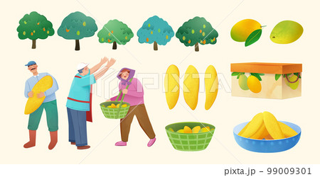 Mango and character elements setのイラスト素材 [99009301] - PIXTA