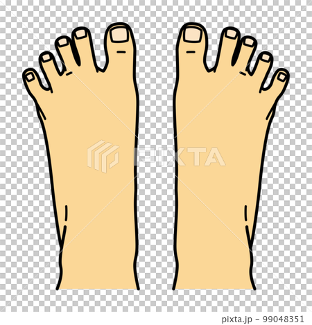Instep: open toes left and right - Stock Illustration [99048351] - PIXTA