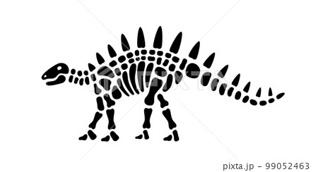 Kentrosaurus Skeleton