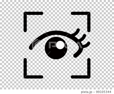 Iris authentication icon (biometric... - Stock Illustration [99105344 ...