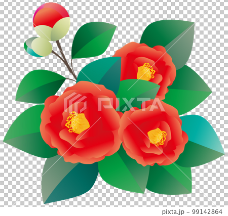 Illustration of a cute camellia flower - Stock Illustration [99142864 ...