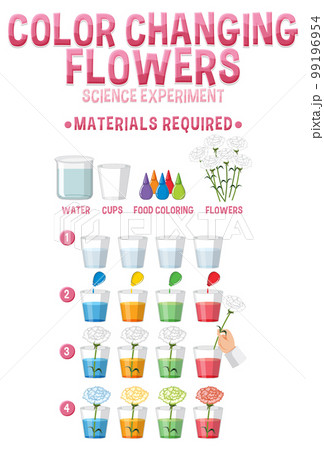 Color Changing Carnations Science Projects
