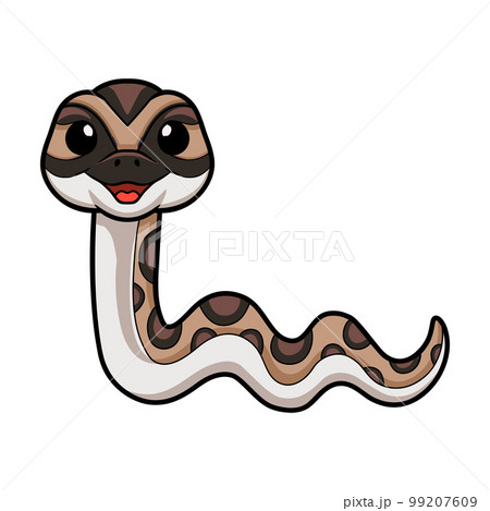 Cute python molurus bivittatus cartoonのイラスト素材 [99207609] - PIXTA