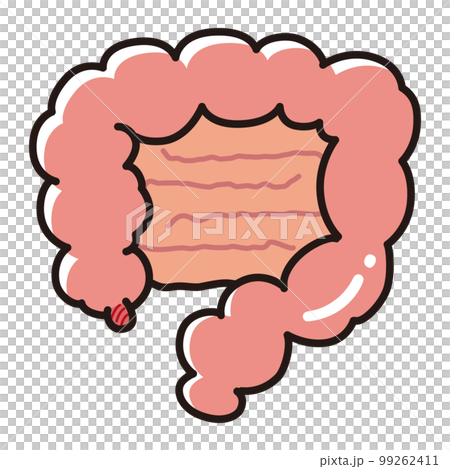 Cartoon Small Intestine