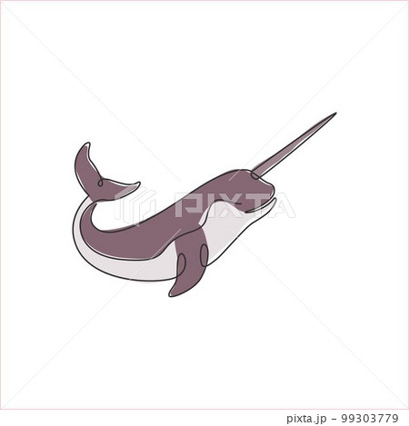 Narwhal Line Drawing 39 Narwhal Cute Stock Photos, High Res Pictures,