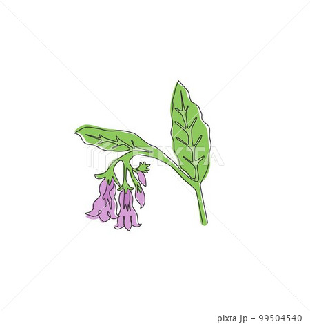 Single continuous line drawing of beauty fresh...のイラスト素材 [99504540] - PIXTA