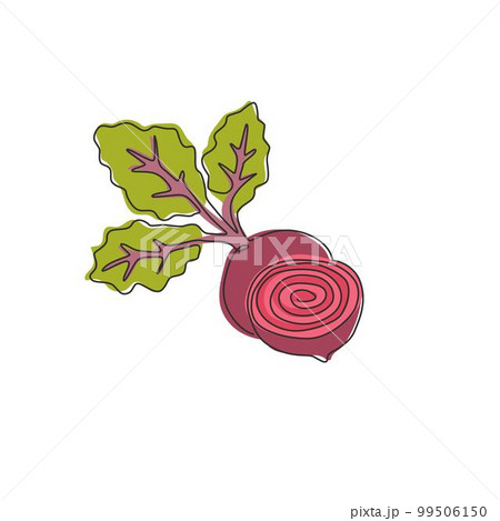 Beet Line Drawing