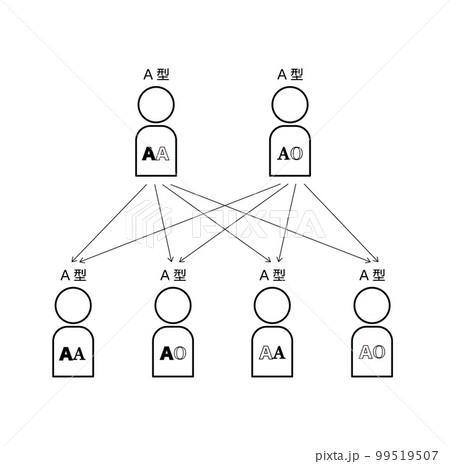 血液型の遺伝（両親がAAとAOの場合）のイラスト素材 [99519507] - PIXTA