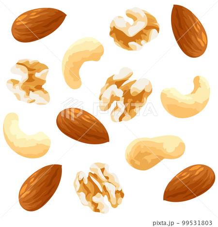 Assorted Nuts Cartoon