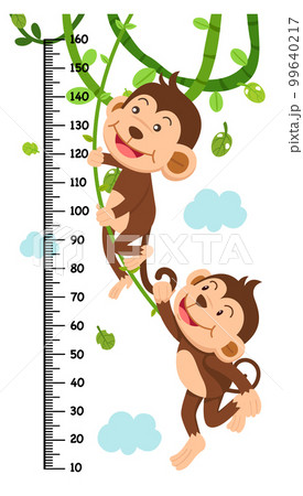 Meter wall with monkey vector illustration のイラスト素材 [99640217] - PIXTA