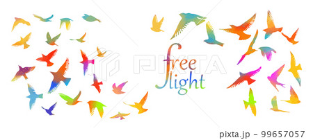 Abstract colored flying birds. Mixed media....のイラスト素材 [99657057] - PIXTA