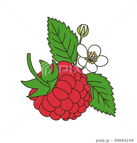 Cartoon Raspberry Bush