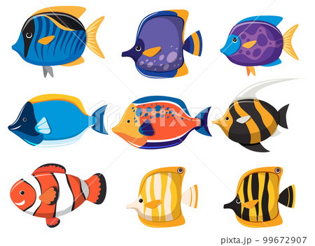 Set of colourful saltwater fish cartoon simple...のイラスト素材 [99672907] - PIXTA