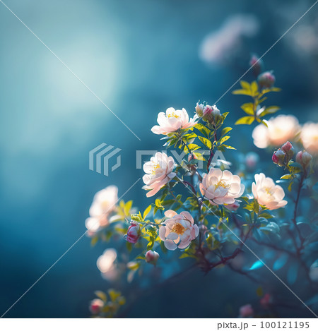 Blooming rose bush. Natural floral spring...のイラスト素材 [100121195] - PIXTA