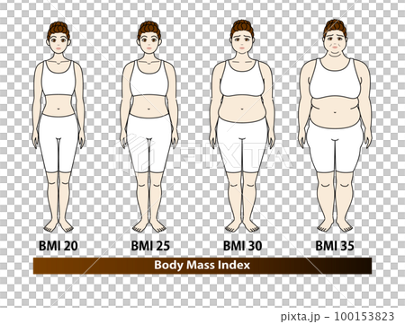Body mass index Body shape change of young... - Stock Illustration ...