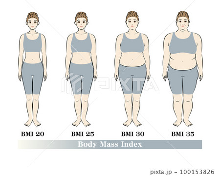 若い女性のBMI指数による体型の変化 ボディマスインデックス イラスト ベクターのイラスト素材 [100153826] - PIXTA