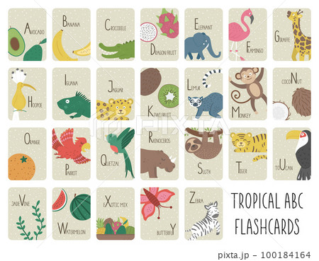 Tropical alphabet cards for children. Cute...のイラスト素材 [100184164] - PIXTA