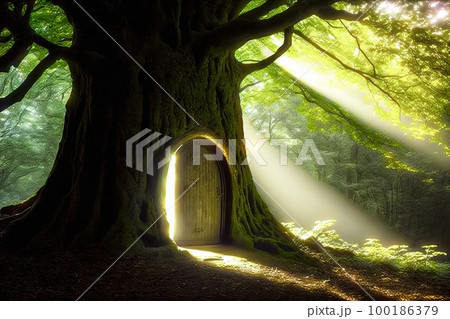 A huge old fantasy deciduous tree with the door...のイラスト素材 [100186379 ...