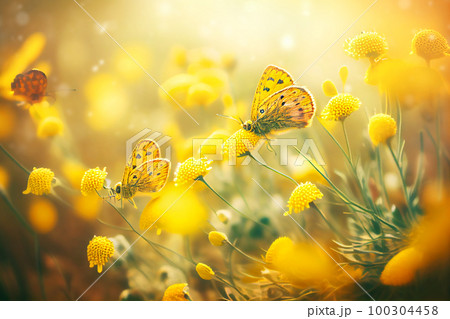 spring summer illustration of yellow flowers...のイラスト素材 [100304458] - PIXTA