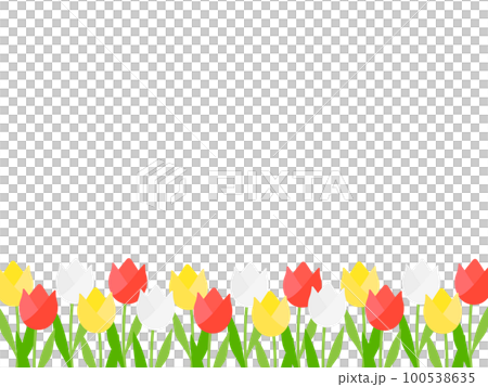 Tulip field background horizontal position - Stock Illustration ...