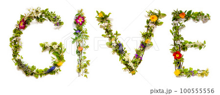 Blooming Flower Letters Building English Word Giveの写真素材 [100555556] - PIXTA