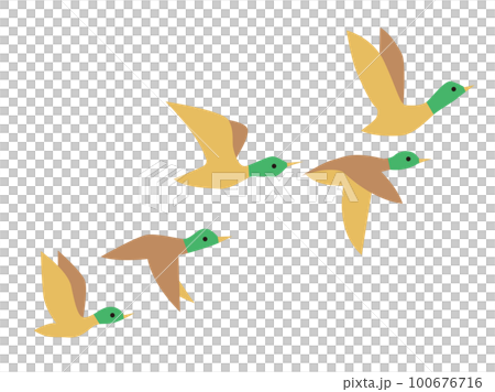 イラスト 渡り鳥 – 渡り鳥アレクサンドロス – VISHUJI