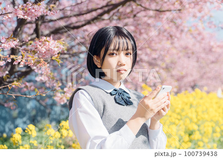 桜と女子高生の写真素材 [100739438] - PIXTA