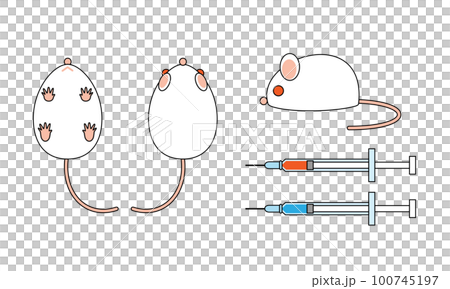 mouse and injection set - Stock Illustration [100745197] - PIXTA