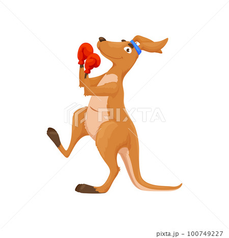 Cartoon boxing kangaroo character. Isolated...のイラスト素材 [100749227] - PIXTA